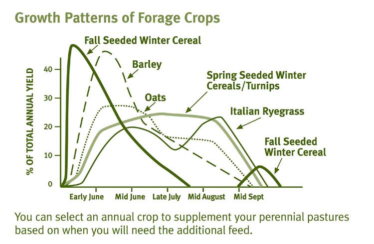 Province Of Manitoba Agriculture Annual Crops An Excellent Way To 