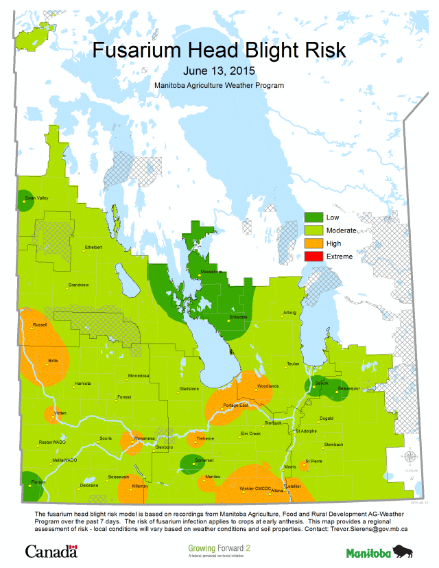 Fusarium Head Blight Risk Forecast Archives | Manitoba Agriculture ...