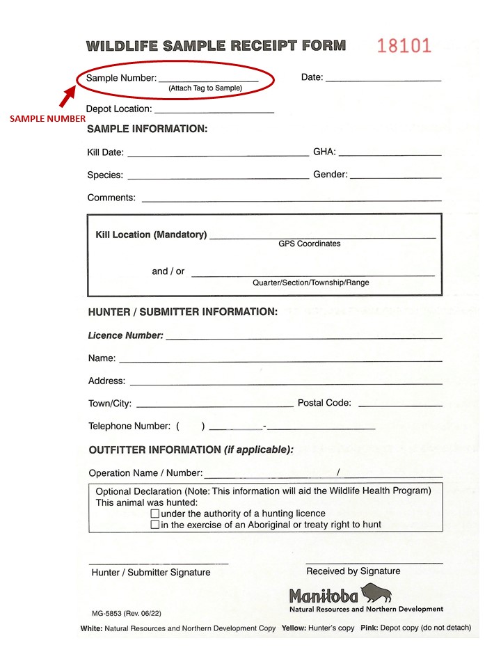 Ressources naturelles | Ressources naturelles et Futurités autochtones ...